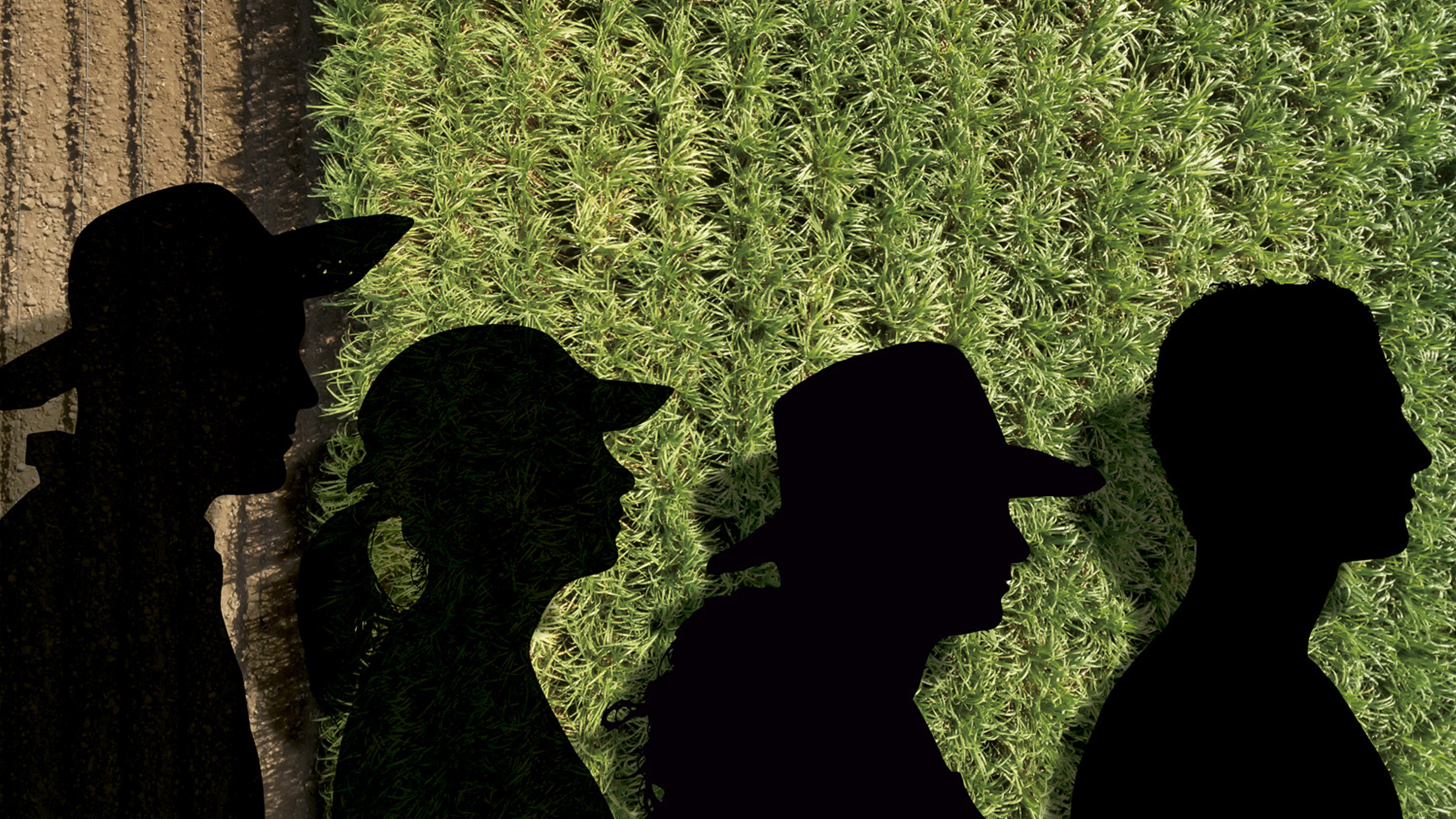 A nova era do Consecana - Canaoeste