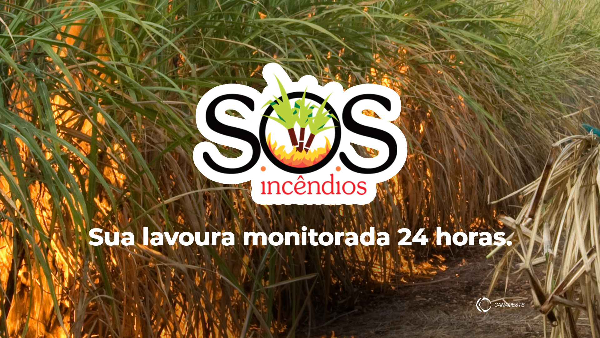 Programa SOS incêndios Total apoio ao produtor rural - Canaoeste