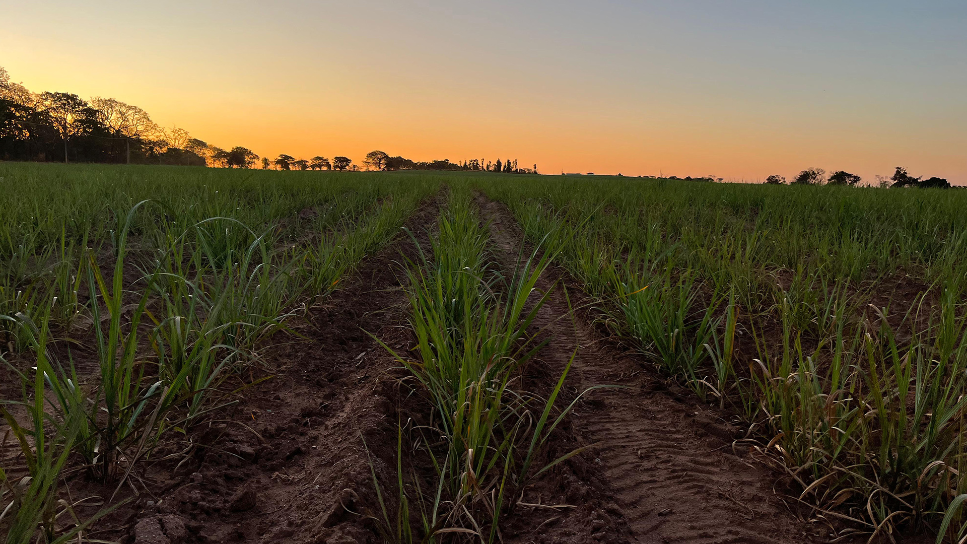RenovaBio: ANP apresentará nova funcionalidade da Plataforma CBIO em ...
